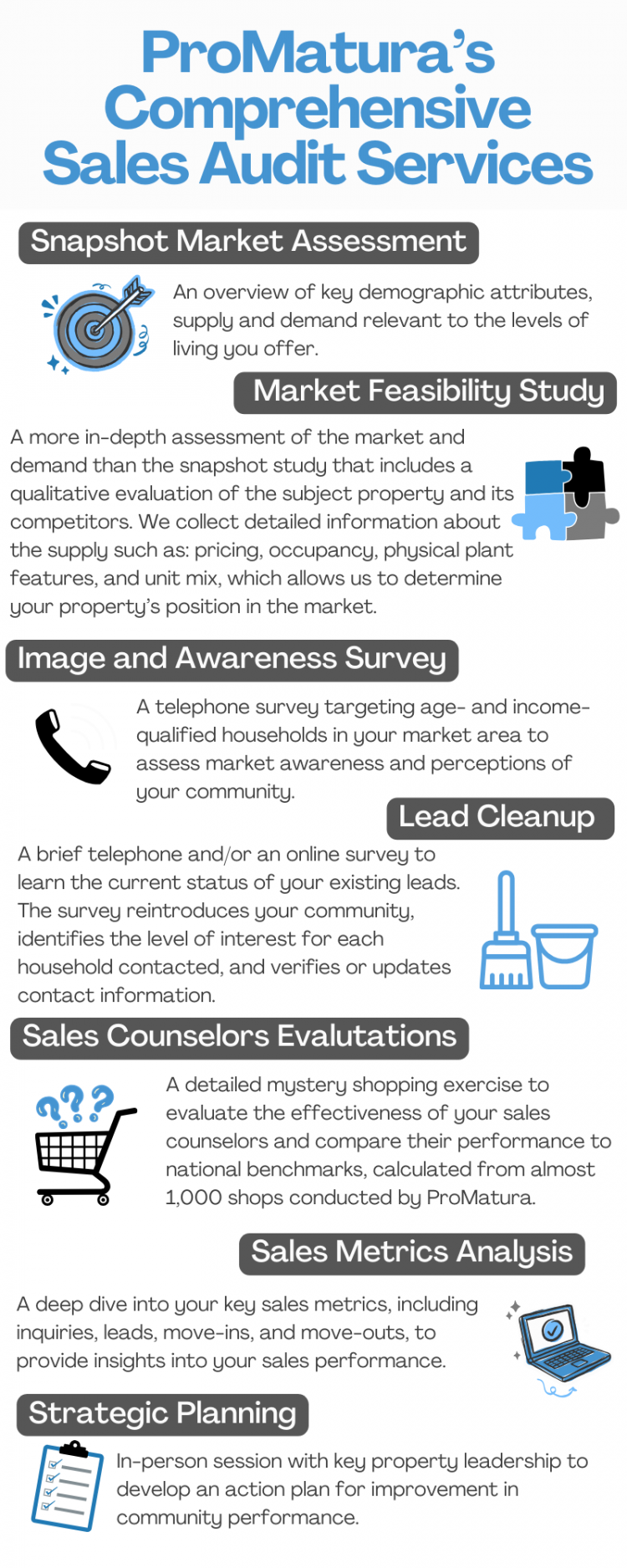 Explore ProMatura’s Comprehensive Sales Audit Services | ProMatura